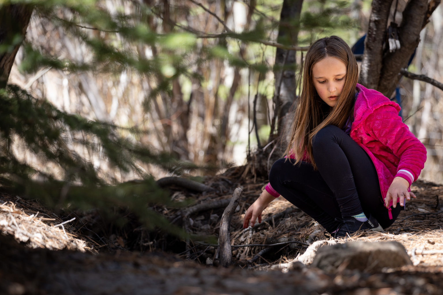 Summer Camp – Sylvaneers – Colorado Summer Camp Programming